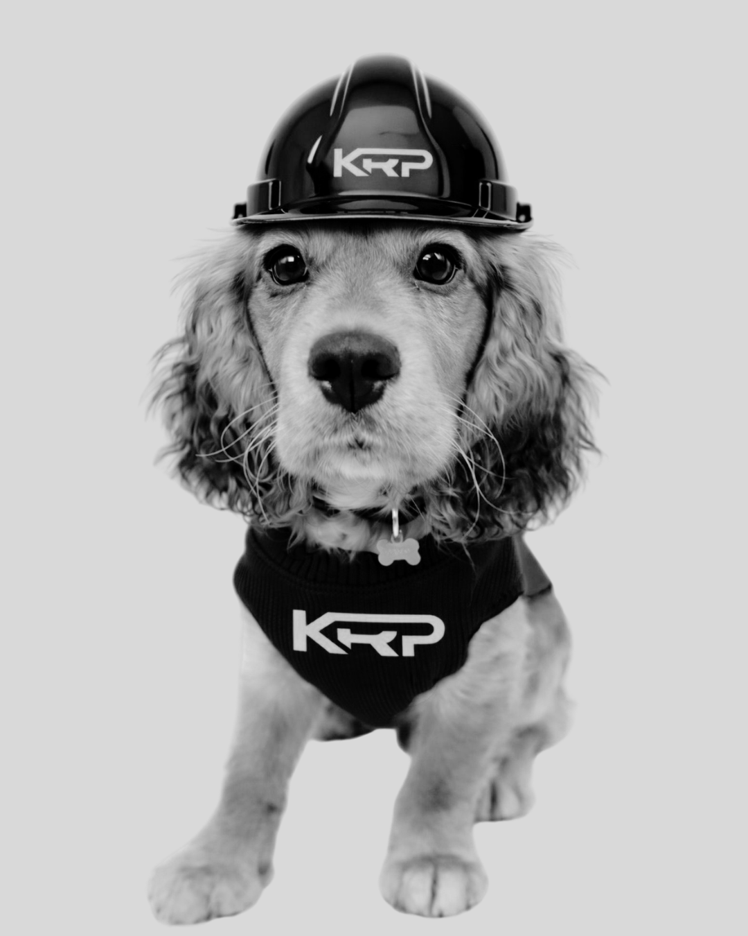About Us | KRP Developments